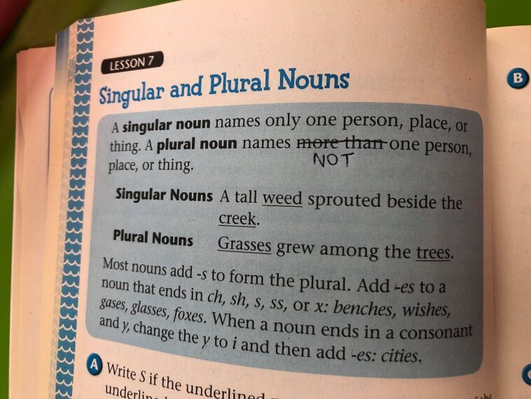 Lies Your Grammar Teacher Told You: Singular and Plural - LinguisticsGirl