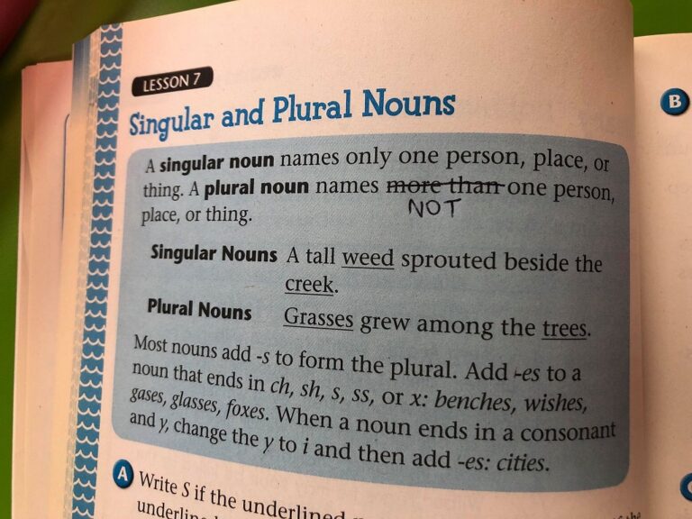Lies Your Grammar Teacher Told You Singular And Plural LinguisticsGirl